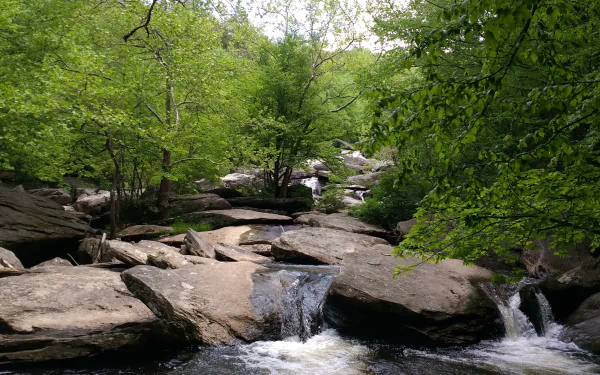 North Carolina 4k Wallpapers