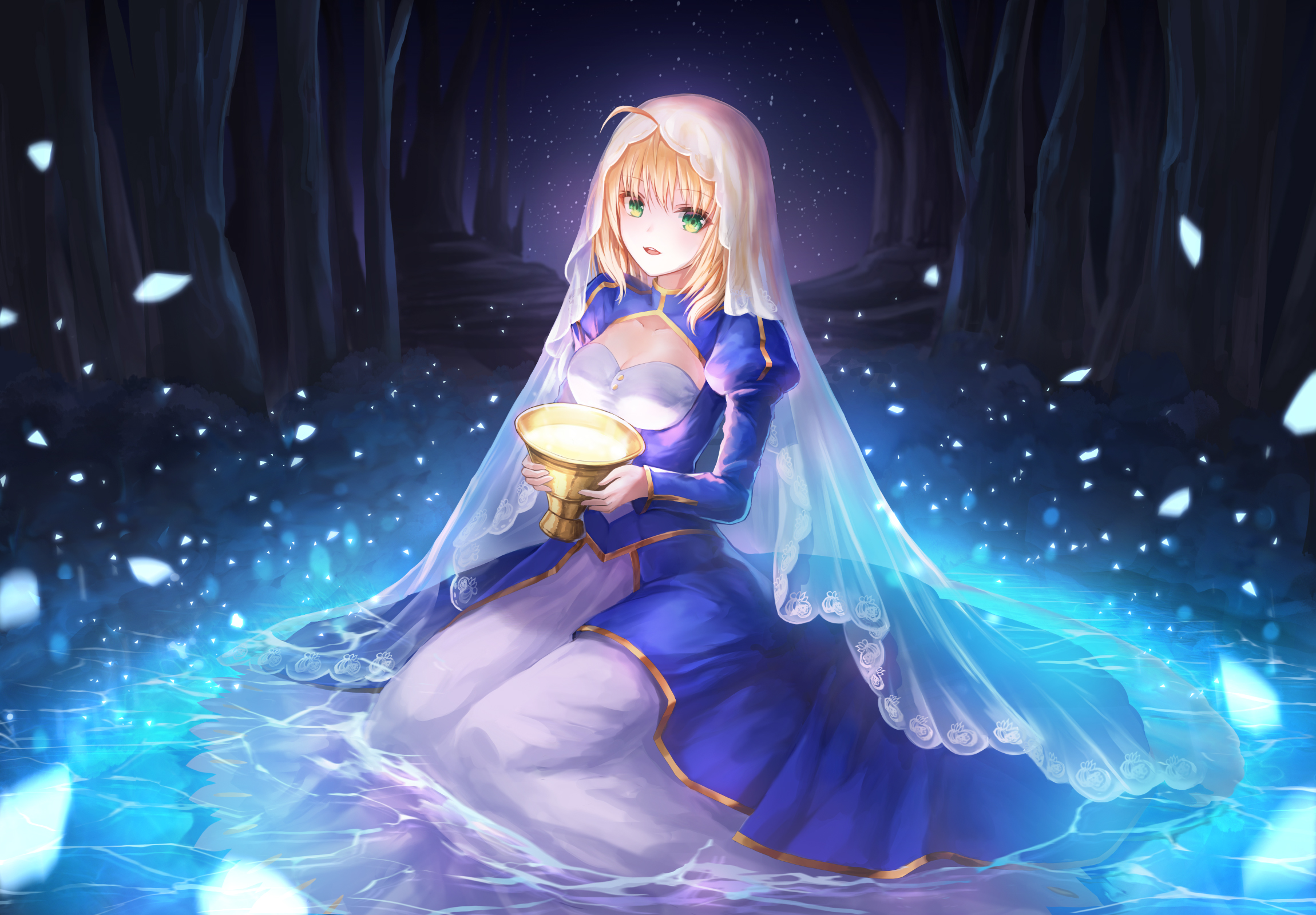 Saber from Fate/Stay Night: Enchanted Forest HD Wallpaper
