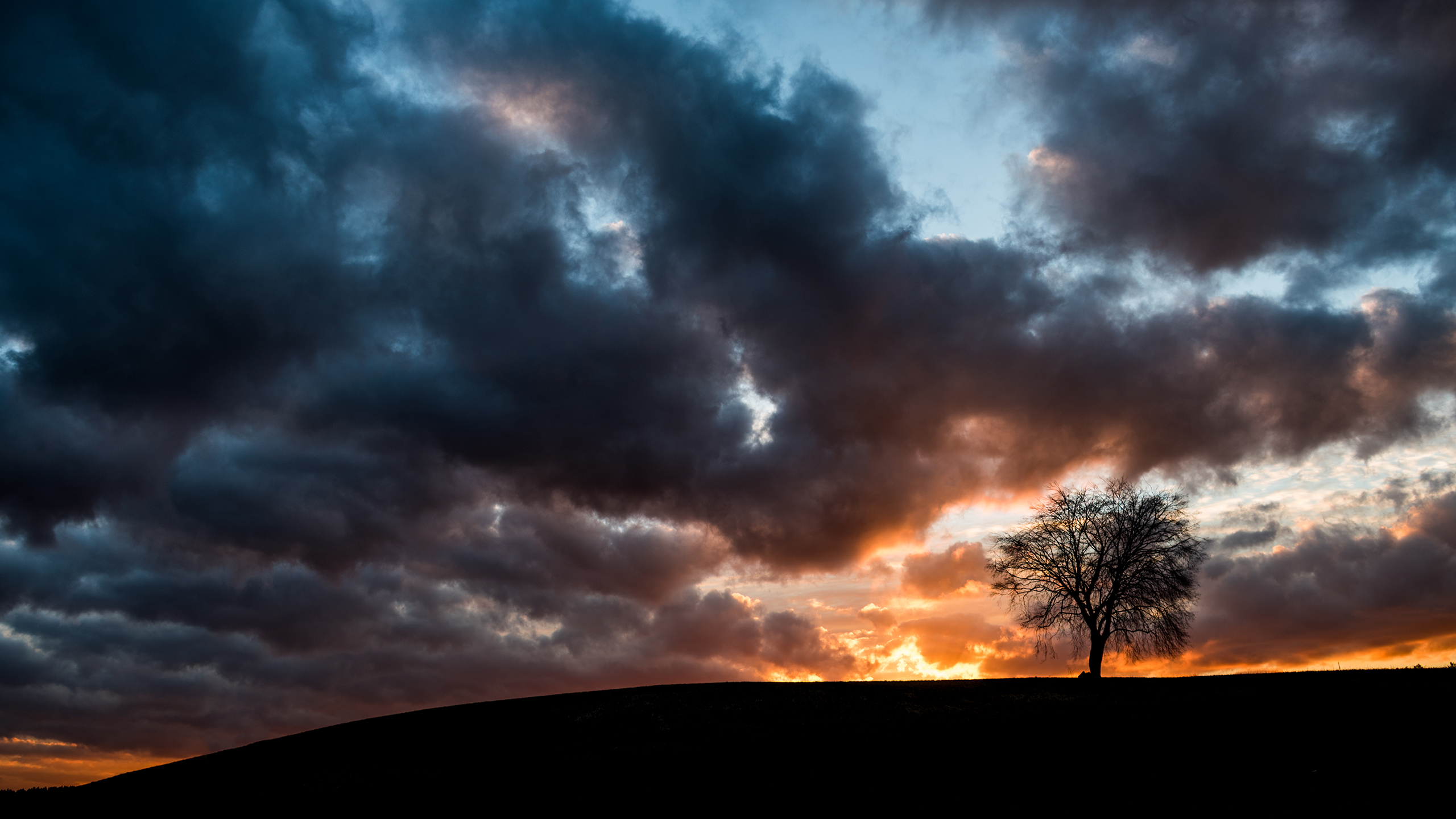 Download Dark Cloud Sunset Sky Silhouette Nature Tree HD Wallpaper
