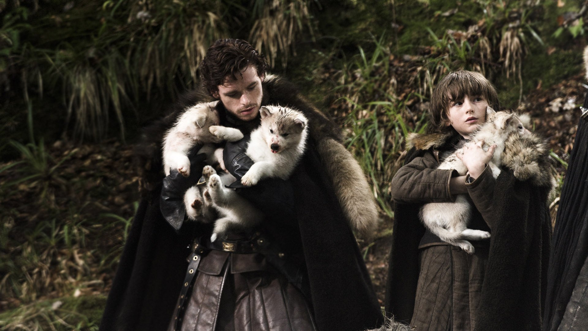 Young Stark Brothers with Direwolf Pups — Game of Thrones HD Wallpaper ...