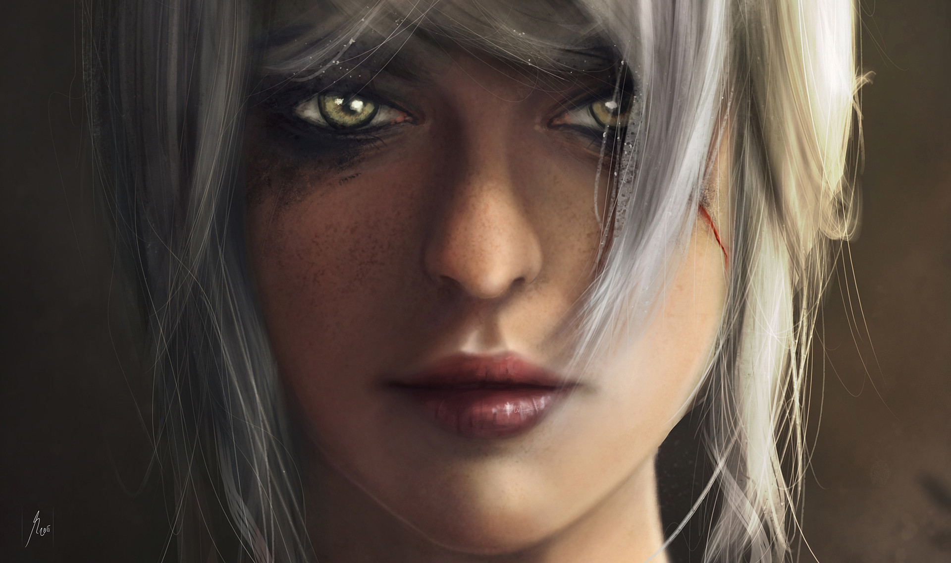 Ciri The Witcher 3 HD Wallpaper - White Hair Green Eyes by Reha Sakar