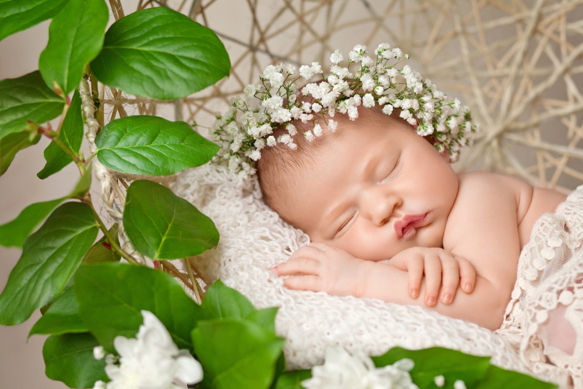 Download Flower Cute Sleeping Photography Baby 4k Ultra HD Wallpaper