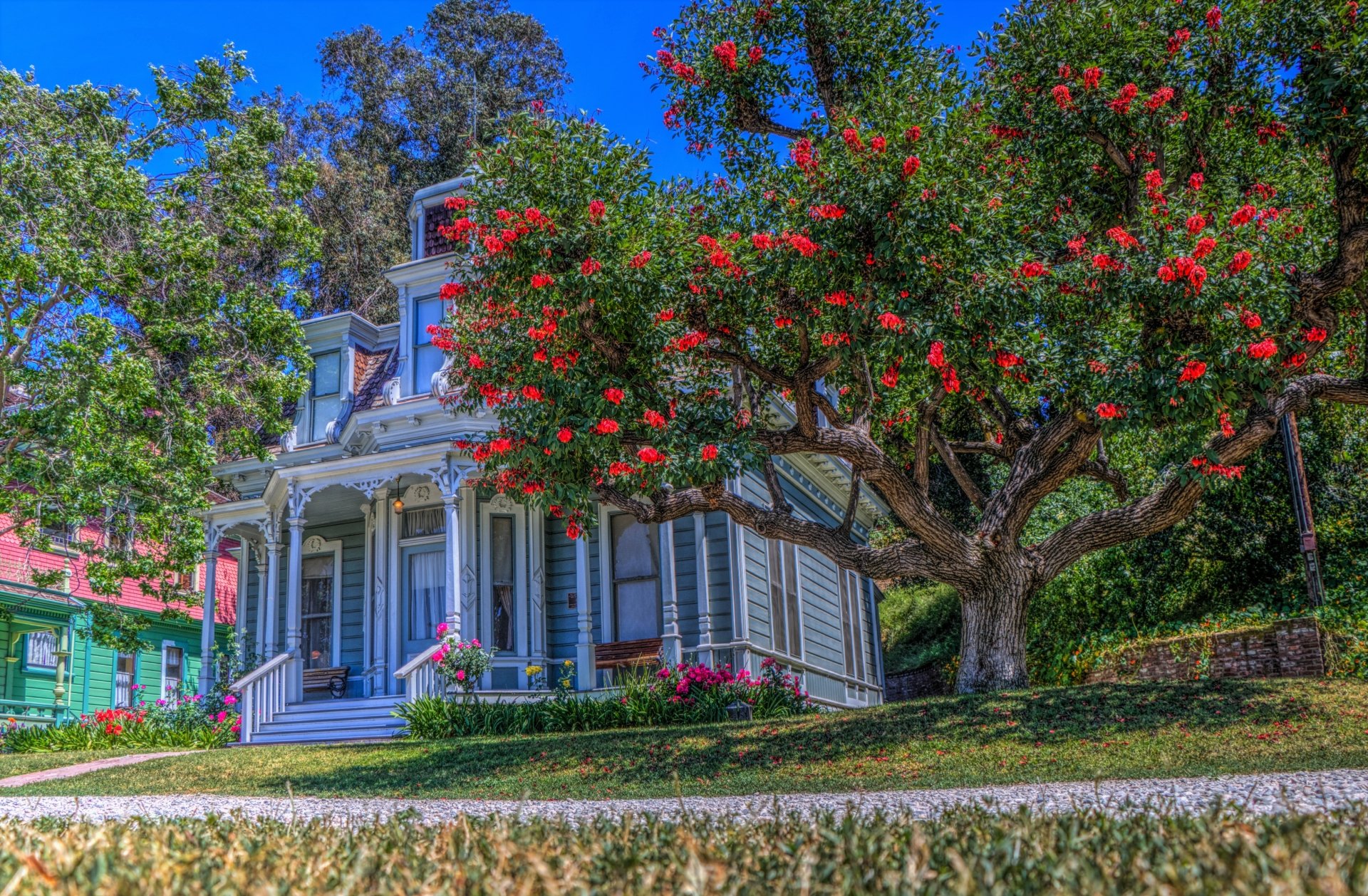 California Flower Tree House | Stunning 4K HDR Photography Wallpaper