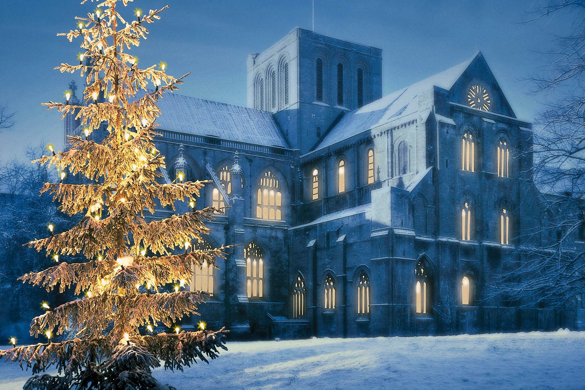 Download Light Christmas Tree Snow Winter Architecture Religious Church ...