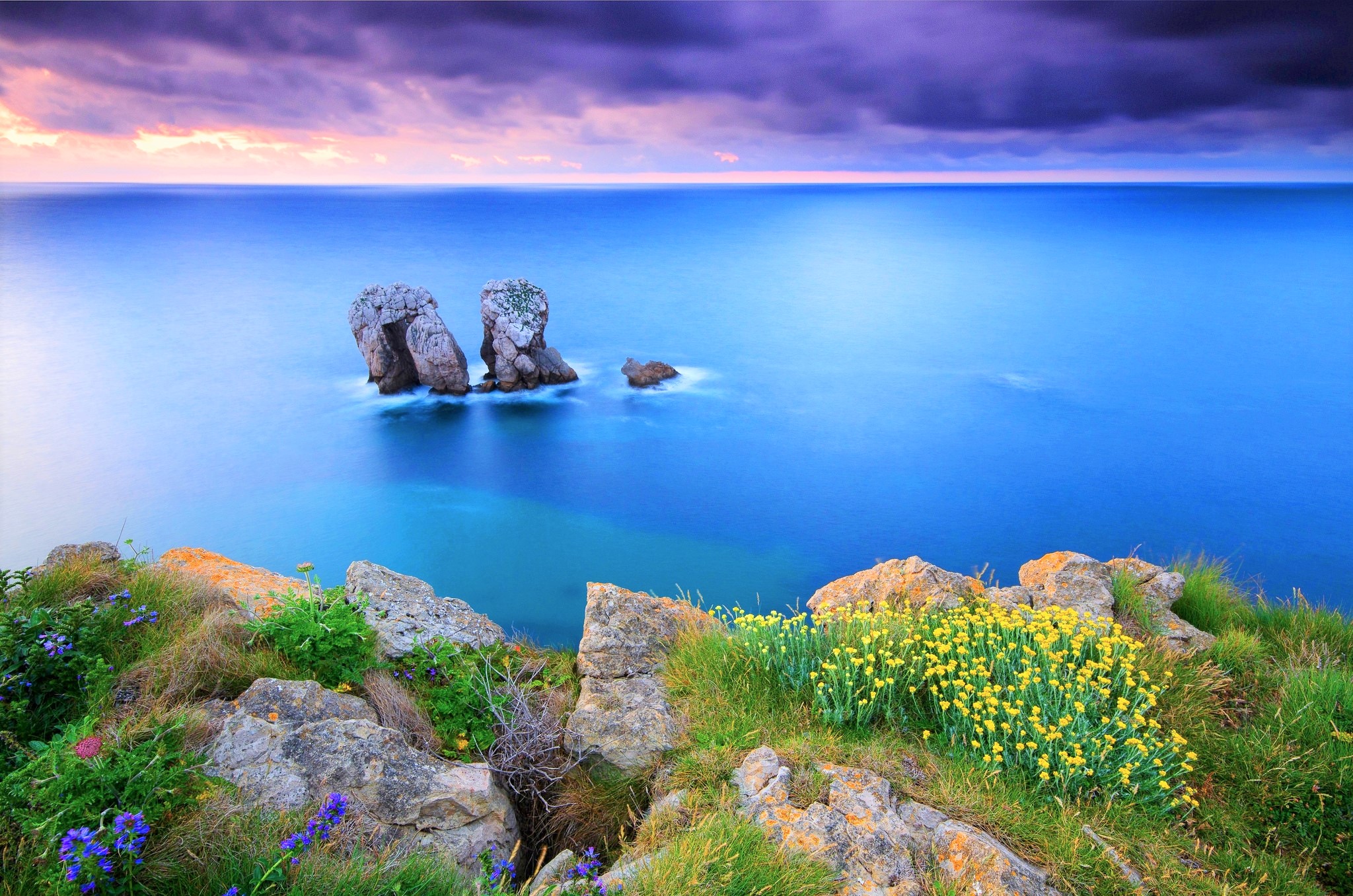 Download Horizon Spring Flower Blue Sea Coastline Coast Nature Ocean HD ...