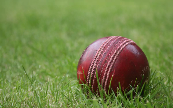 Cricket 4k Wallpapers