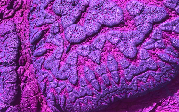 Purple Land by CG-Kuba