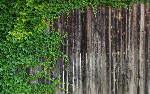 Spring Garden Courtyard HD Wallpaper