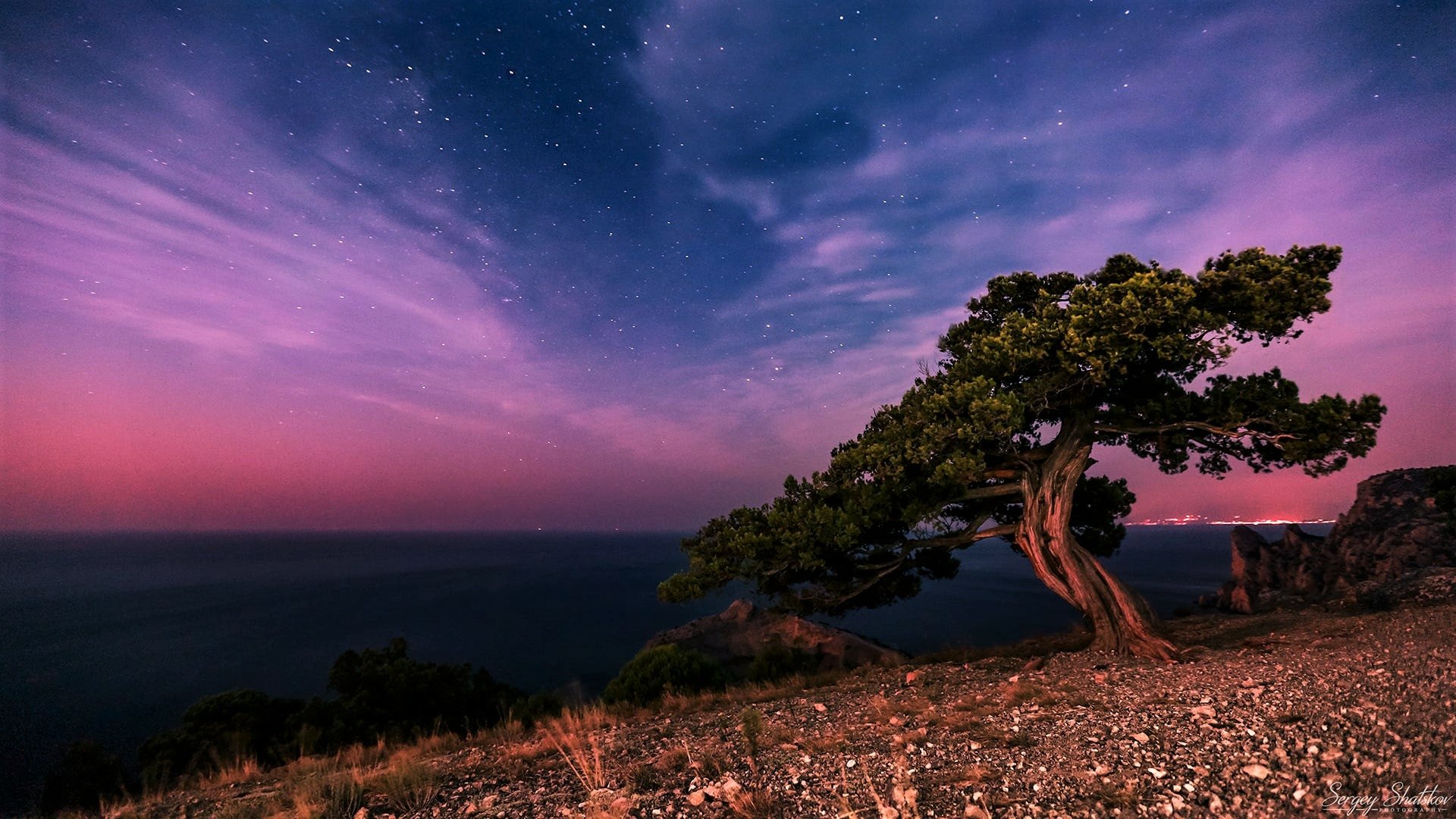 Download Horizon Sea Ocean Tree Coastline Coast Starry Sky Nature ...