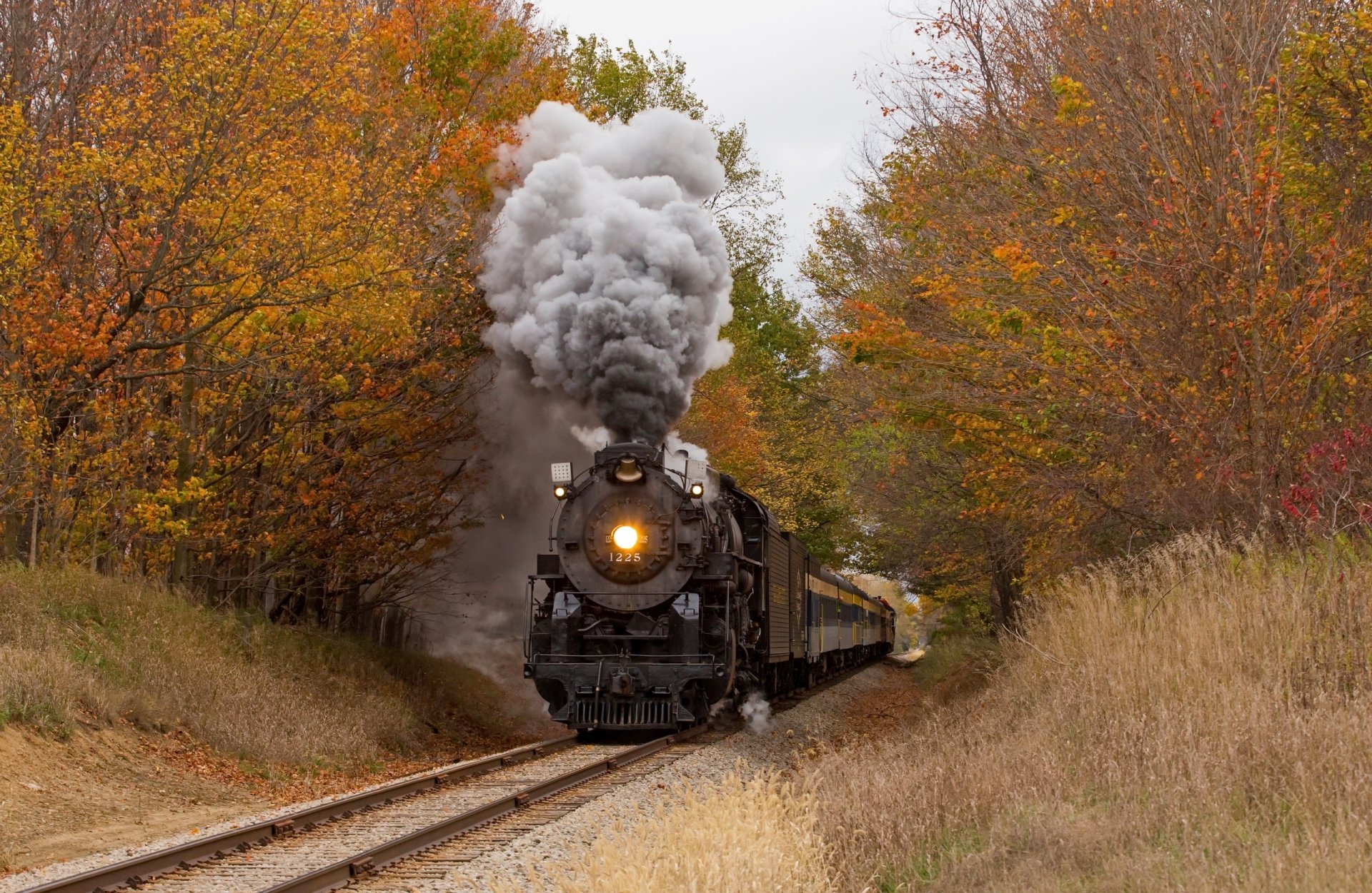 Autumn Steam Train Adventure - HD Wallpaper