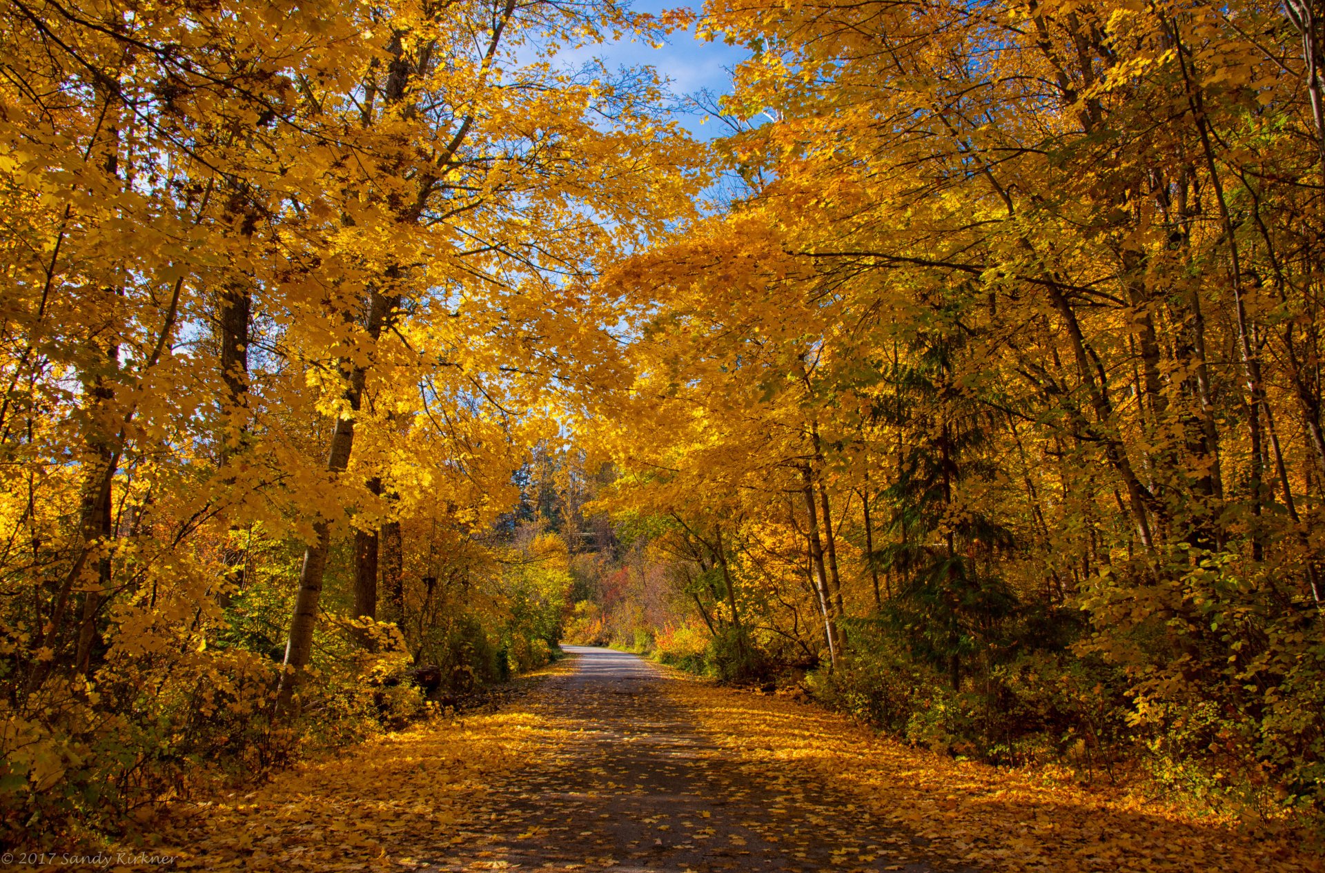 Autumn Road Hd Wallpaper