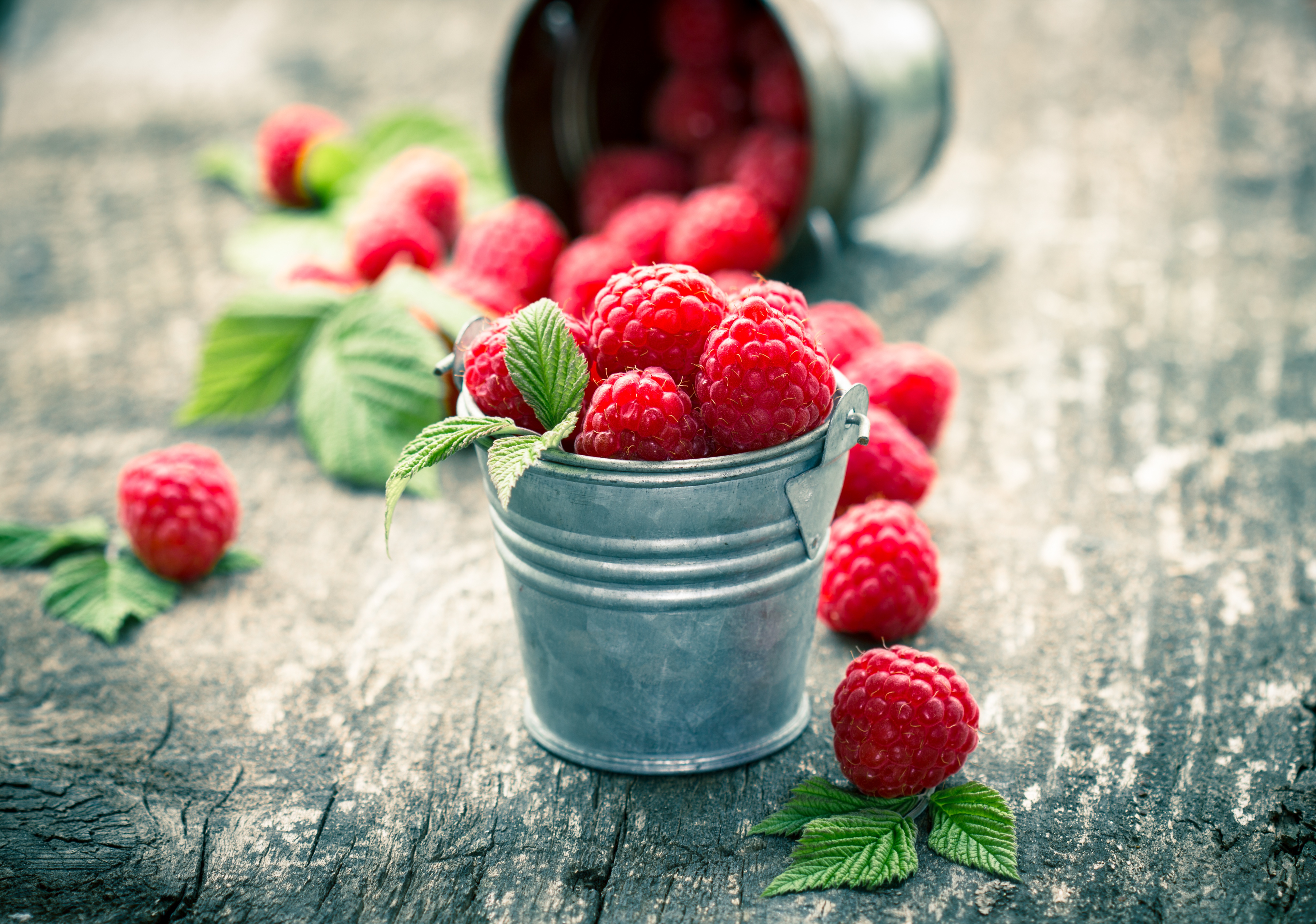 Food Raspberry 4k Ultra HD Wallpaper