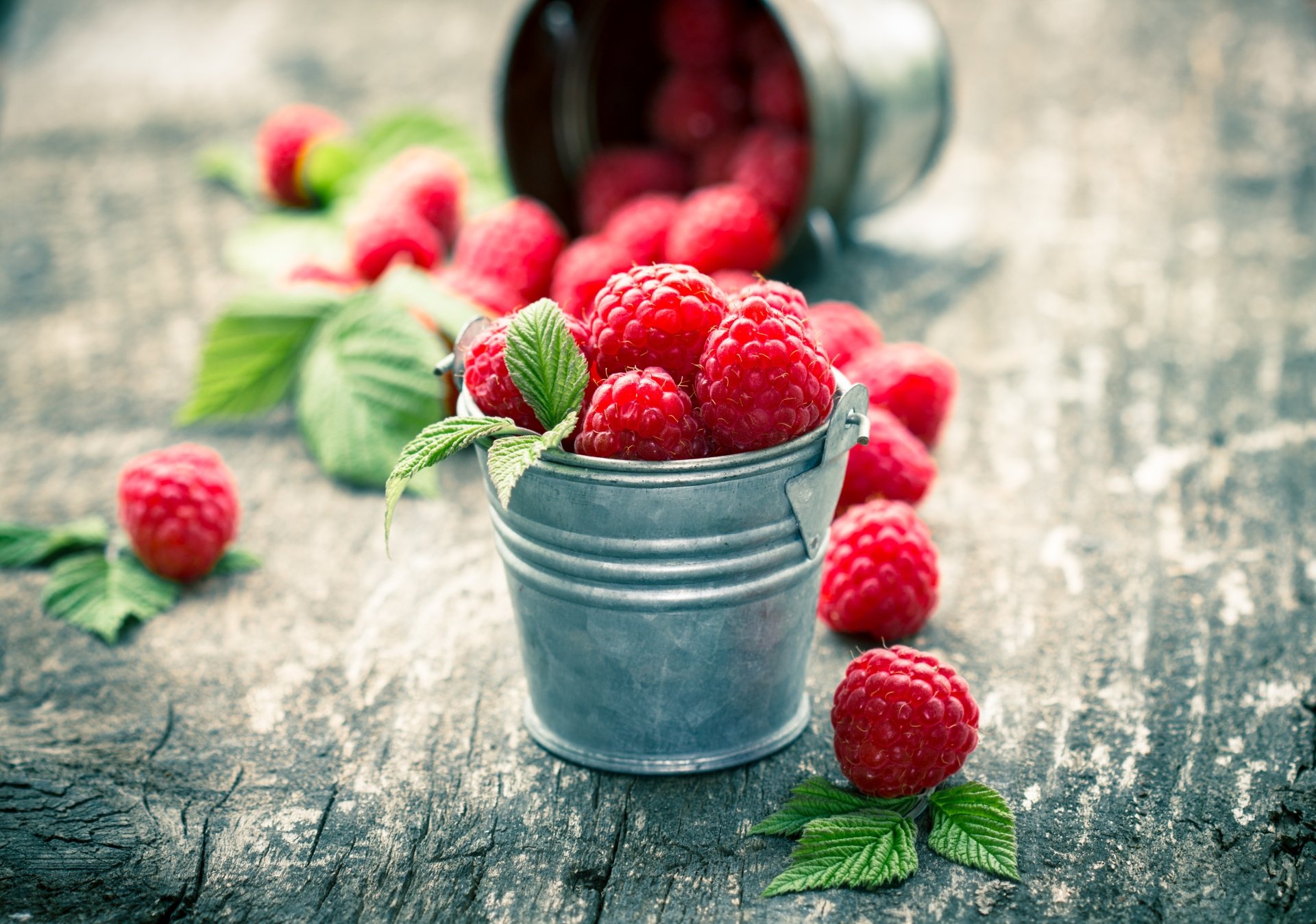 Download Berry Fruit Still Life Food Raspberry 4k Ultra HD Wallpaper