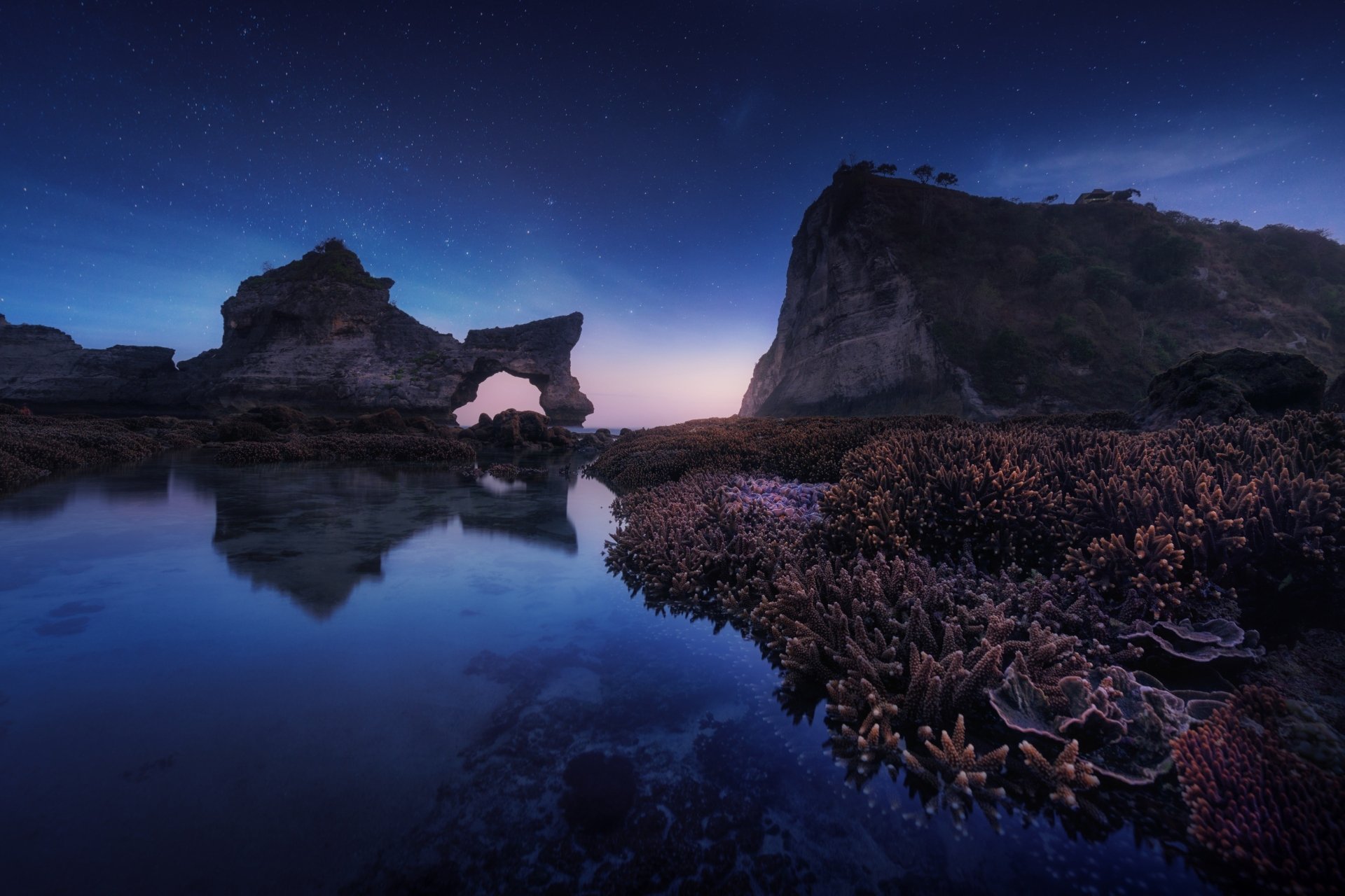 Night Arch Reflection: Serene Coral Seascape under a Starry Sky HD ...