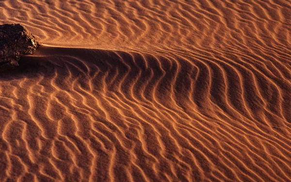 [50+] Sahara 4k Wallpapers