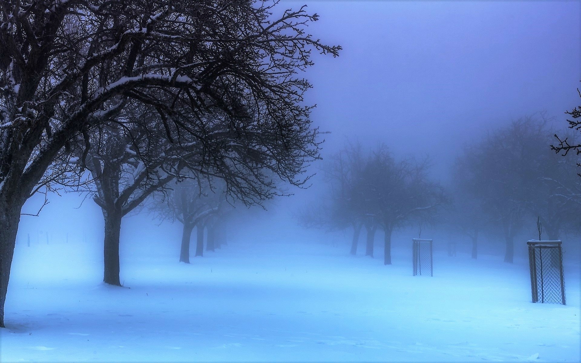 Winter Pathway in Fog - HD Wallpaper