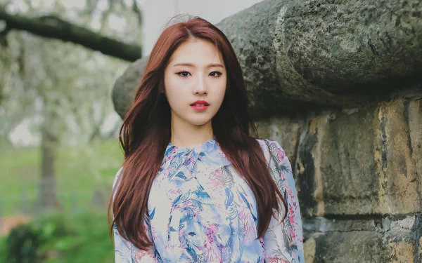 Loona (Band) Wallpapers