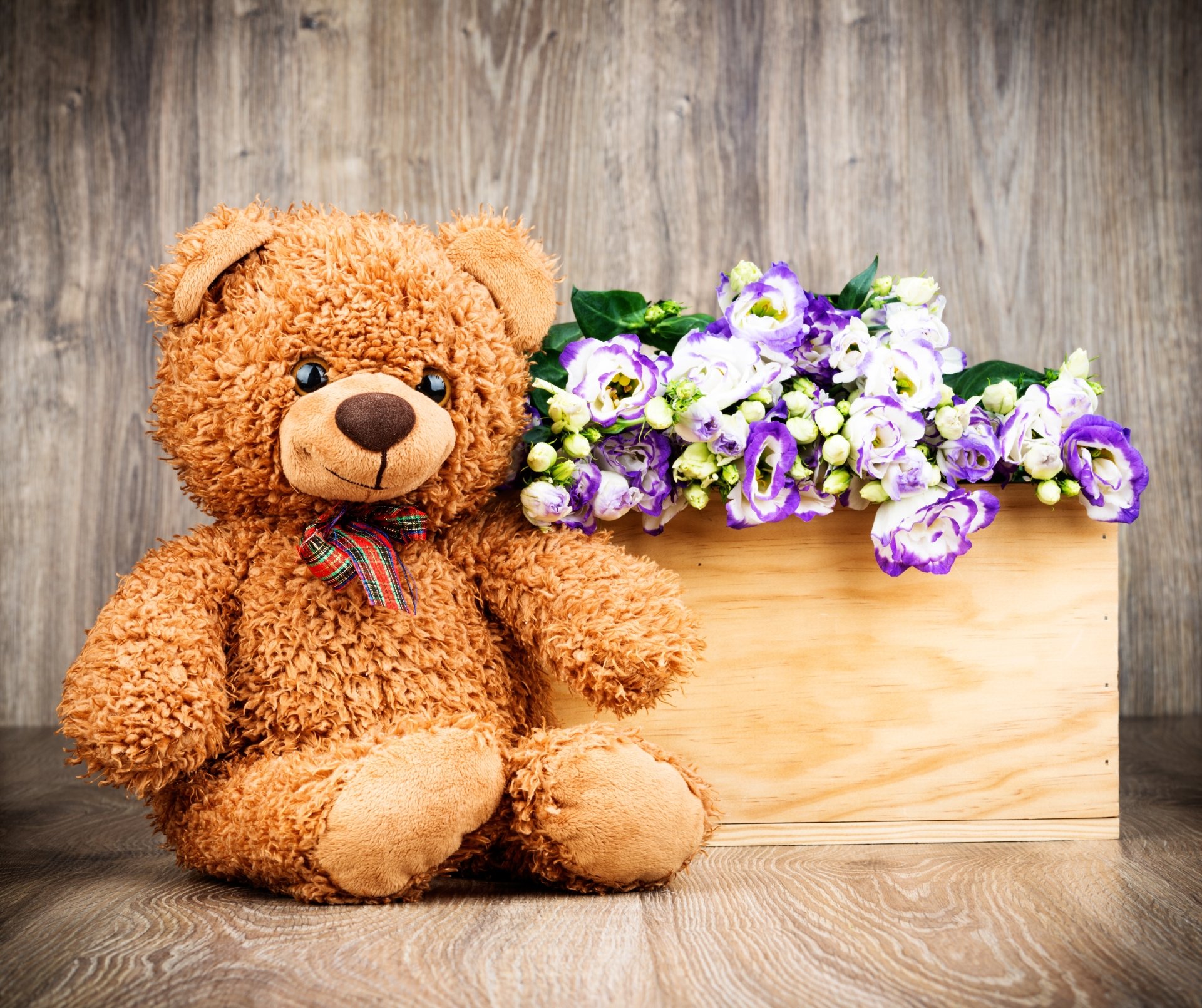 Download Flower Teddy Bear Man Made Stuffed Animal 4k Ultra HD Wallpaper