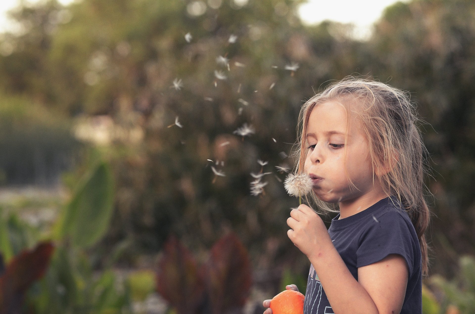 Download Little Girl Blonde Dandelion Depth Of Field Photography Child ...