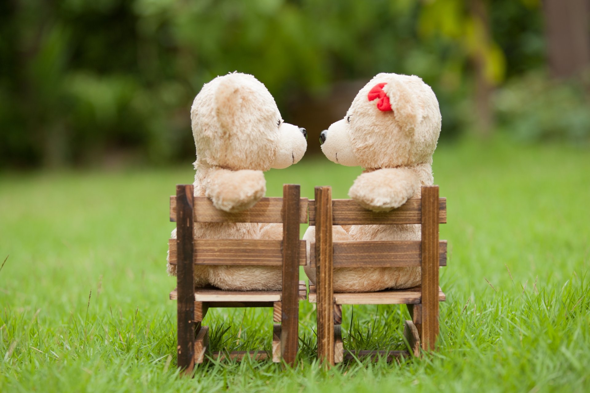 Download Love Depth Of Field Teddy Bear Man Made Stuffed Animal 4k ...