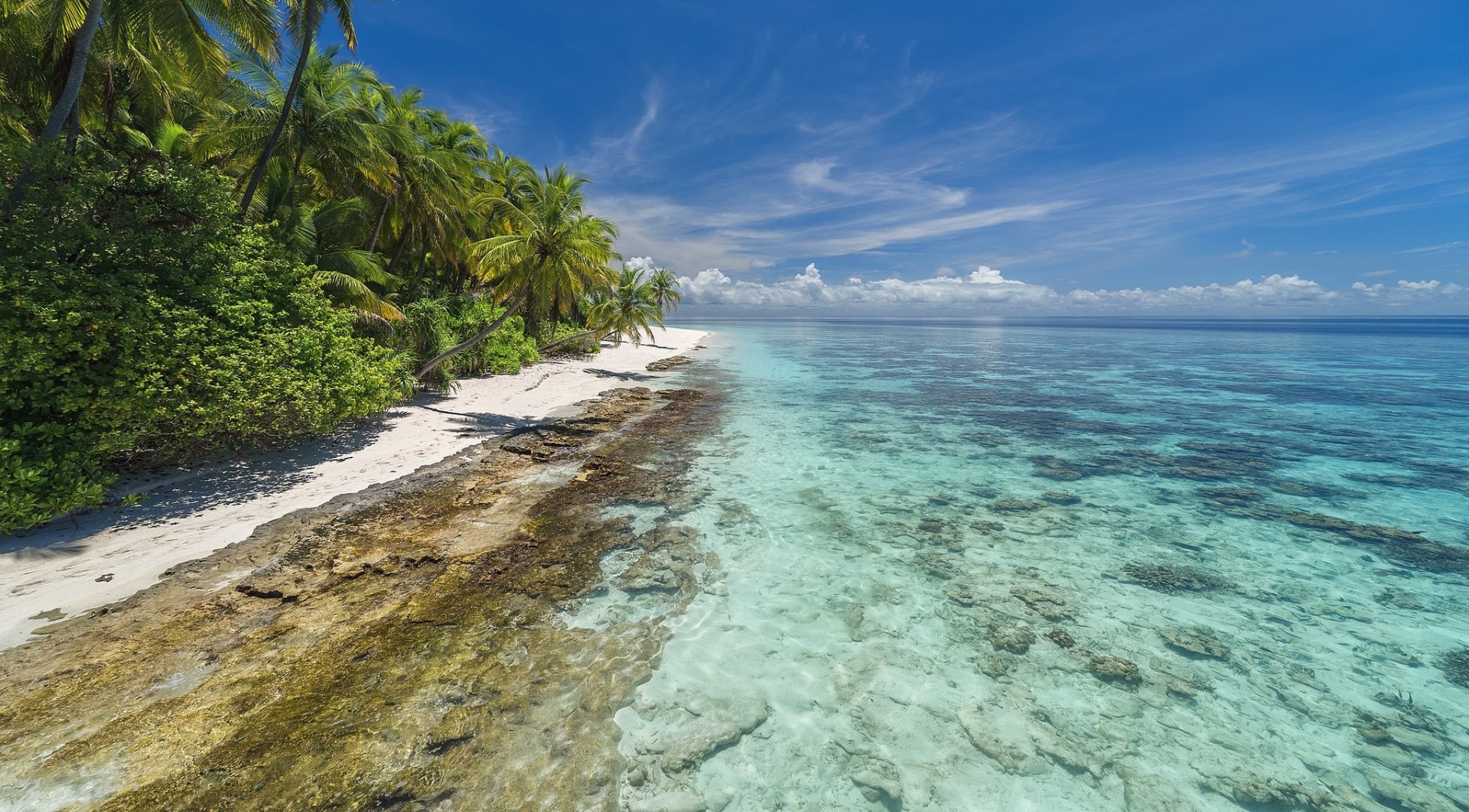 Tropical Ocean Horizon: Palm Beach HD Wallpaper | 2048x1133 | Wallpaper ...