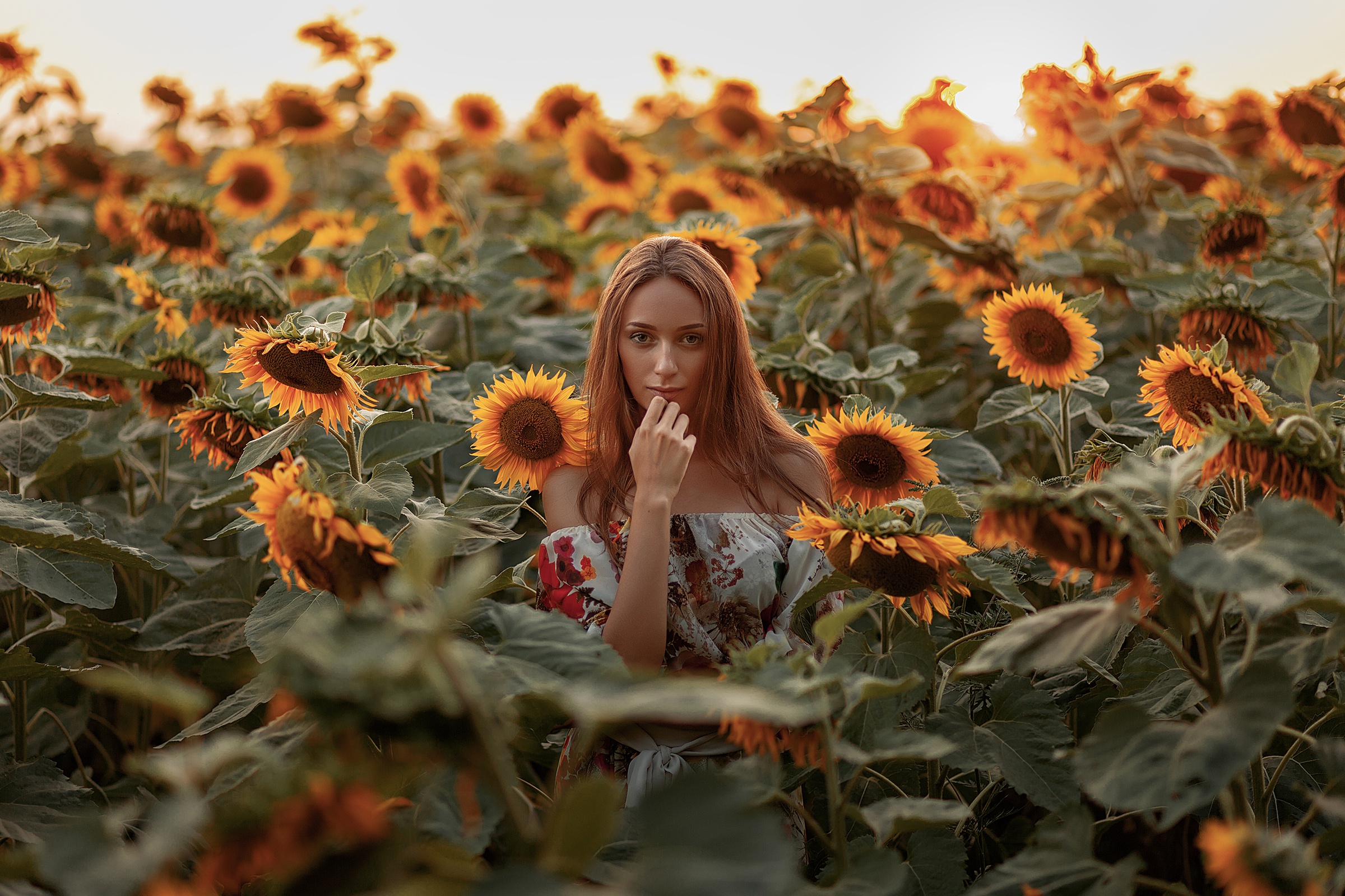 Download Sunflower Yellow Flower Summer Flower Redhead Woman Model Hd