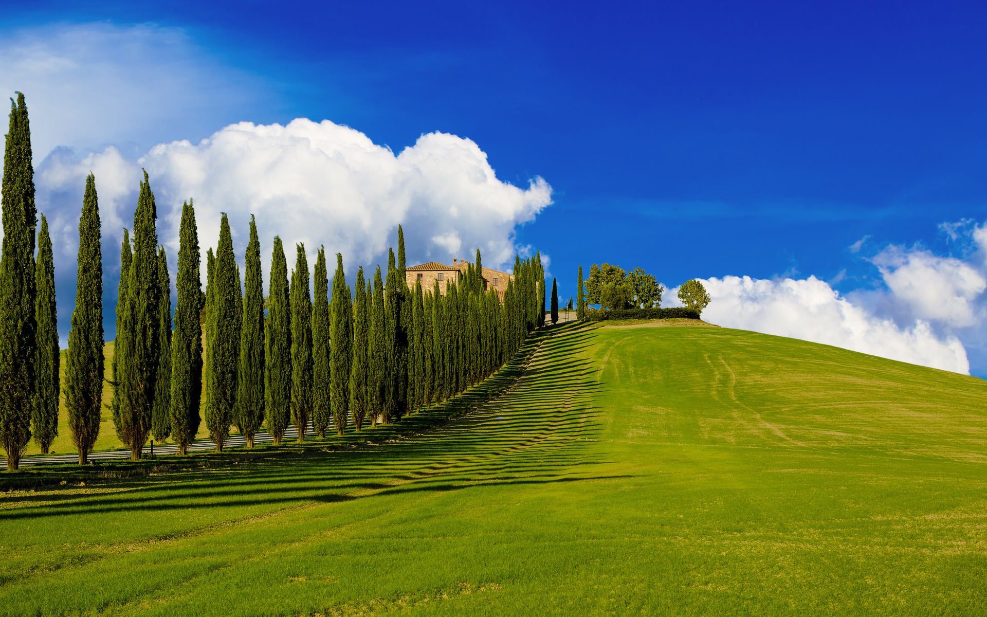 Tuscany Serenity: Lush Grass and Sky in Italy’s Iconic Countryside HD ...