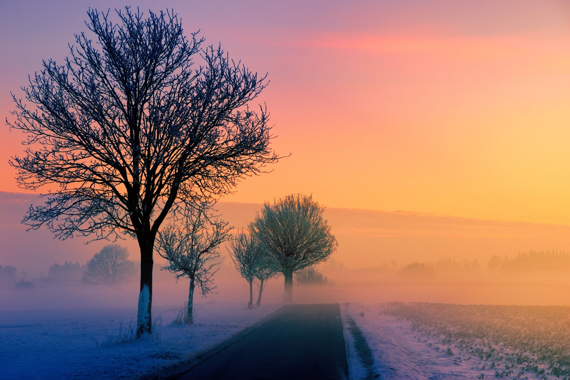 4K Winter Sunset - Frosted Road and Silhouetted Trees | 4000x2667 ...