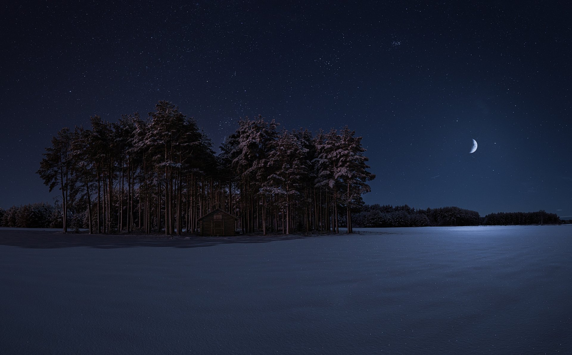 Download Moon Blue Starry Sky Star Night Tree Snow Earth Photography ...
