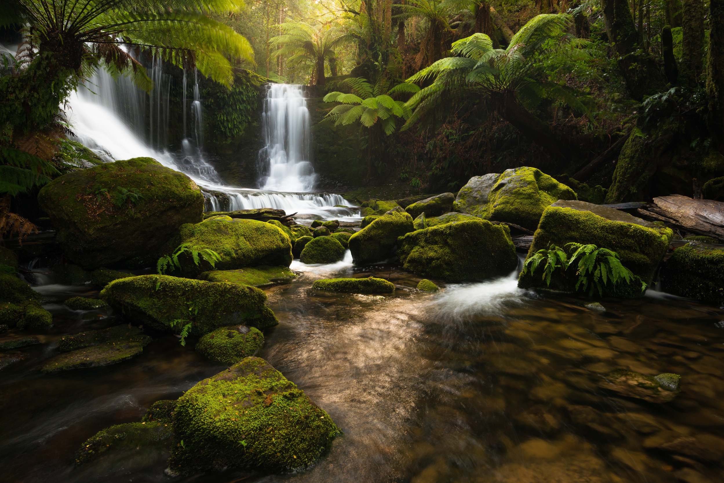 Waterfall Tropical Rainforest Hd Wallpaper