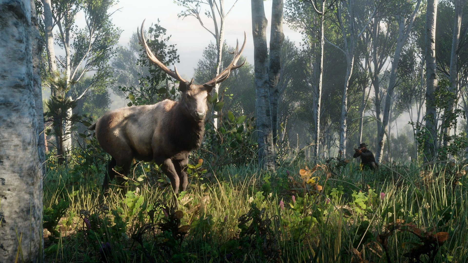 Red Dead Redemption 2 4K Ultra HD Wildlife Wallpaper | 3840x2160 ...