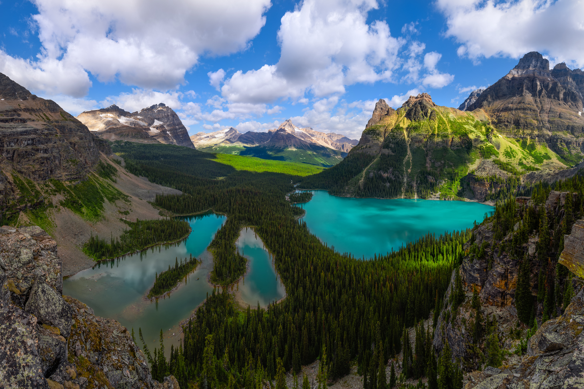 Majestic HD Nature Vista