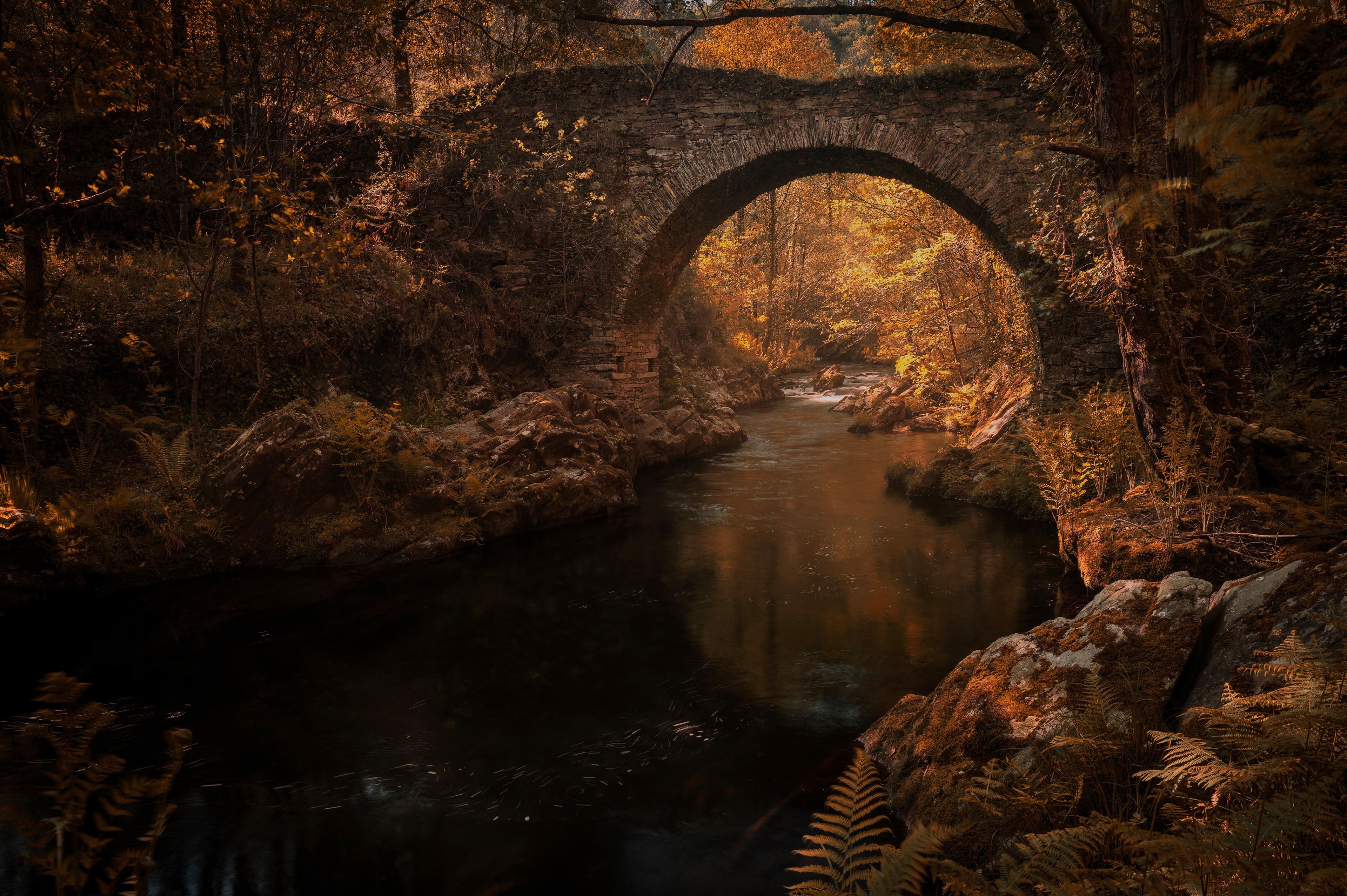 Download Nature River Man Made Bridge 4k Ultra HD Wallpaper