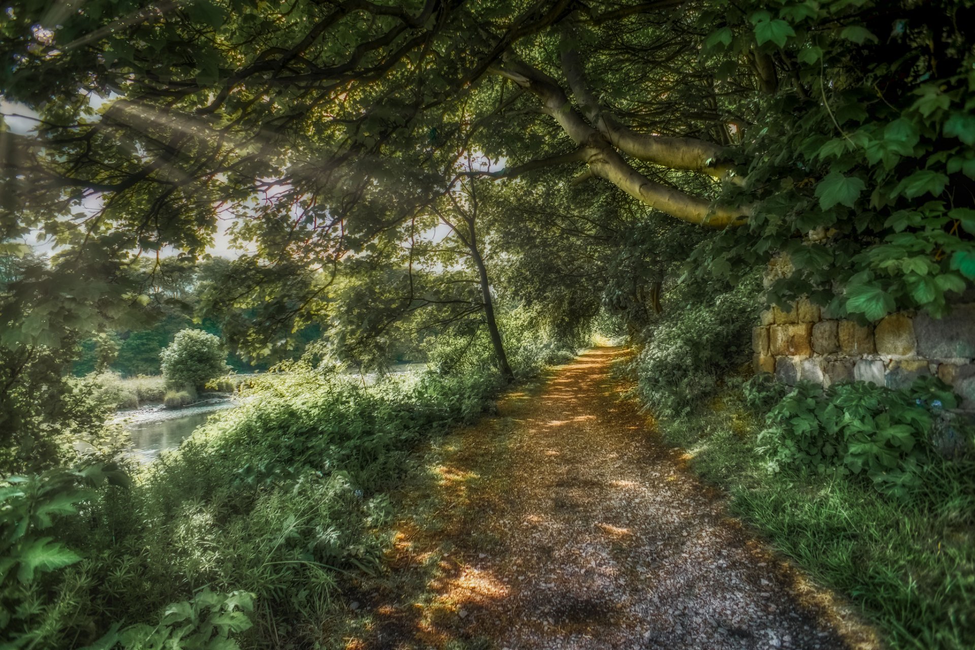 Download Nature Path HD Wallpaper