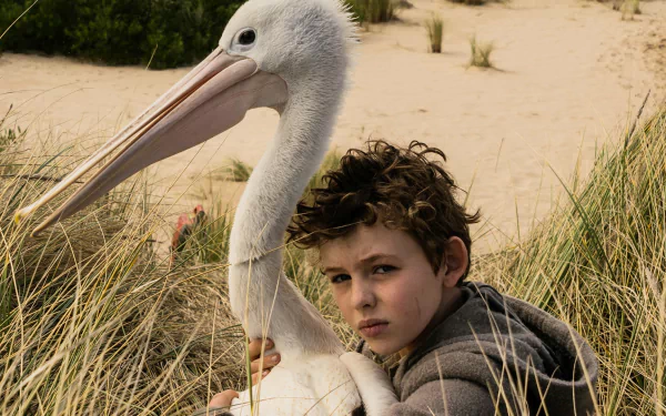 Storm Boy (2019) Wallpapers